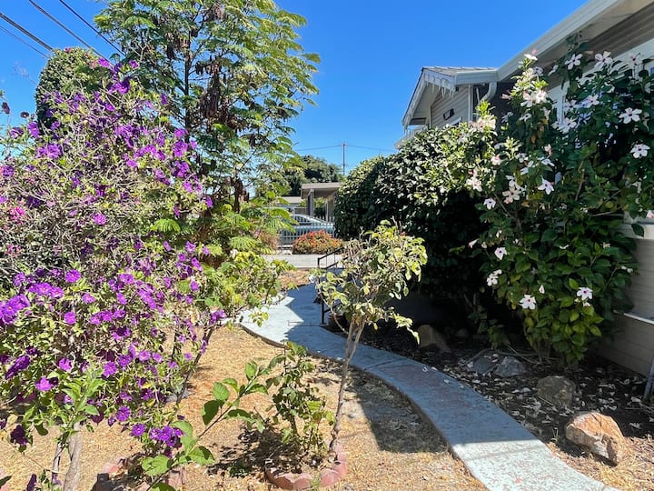 Adorable One Bedroom House  With Fire Place - Castro Valley, CA