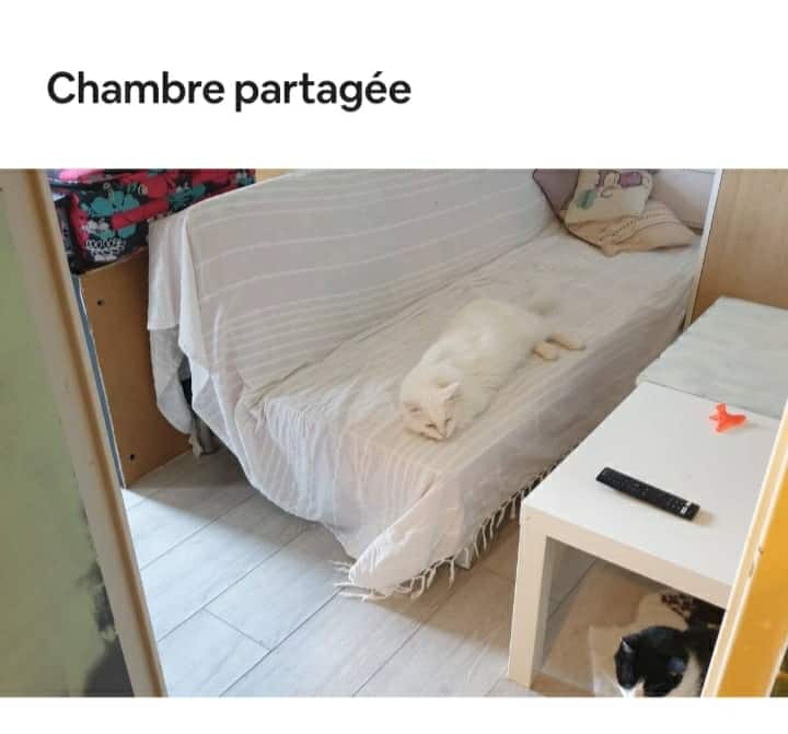 Chambre Dans Le Séjour Partagé - Palavas-les-Flots