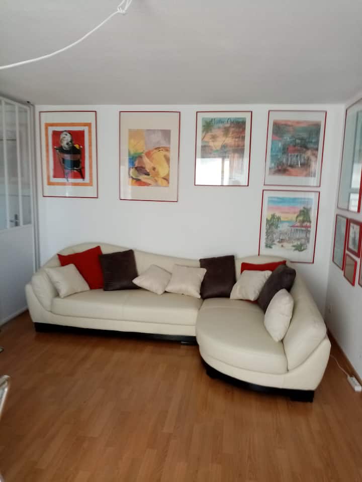 Superbe Appartement 4 P. 2 Lions - Tours