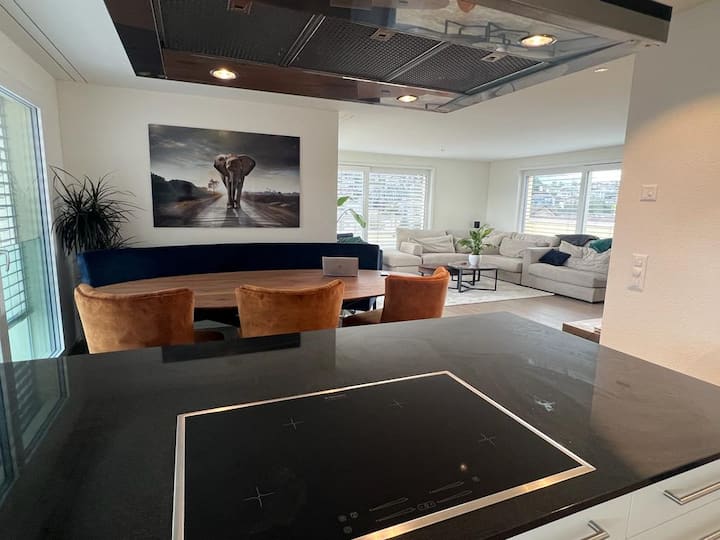 Luxury Penthouse Close To Golf Course / Mountains - Weggis