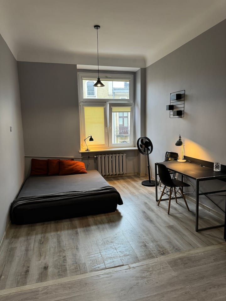 Flat In Xix Centuries House - Łódź