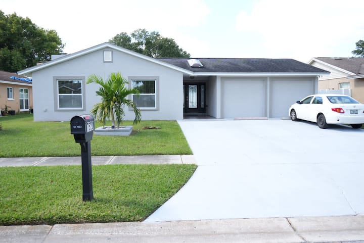 New Hosting 1 - Tampa