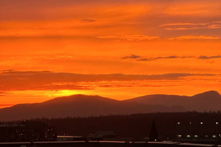 Modern 1 Br Condo · Mountain Views · Keyless Entry - Vancouver