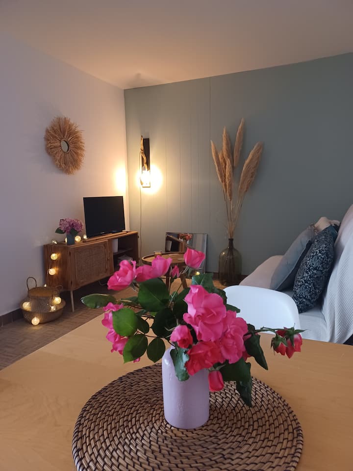 Appartement Cozy à 50m De La Plage Avec Wifi - Leucate