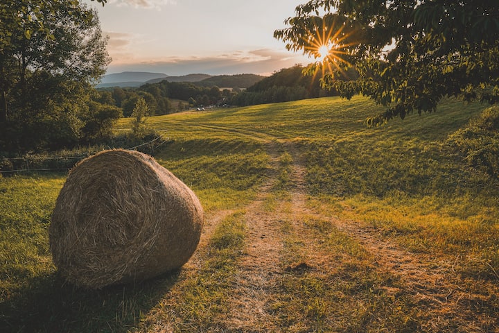 Ferienhaus Böhmische Schweiz  - Ferienwohnung - Tchéquie