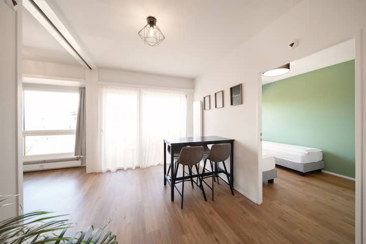 2 Bedroom Apartment With Balcony - Basel