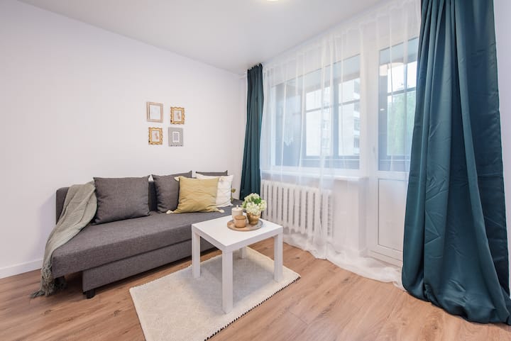00 Near Gates Of Dawn Cozy Bright 1 Bedr W/netflix - Vilnius