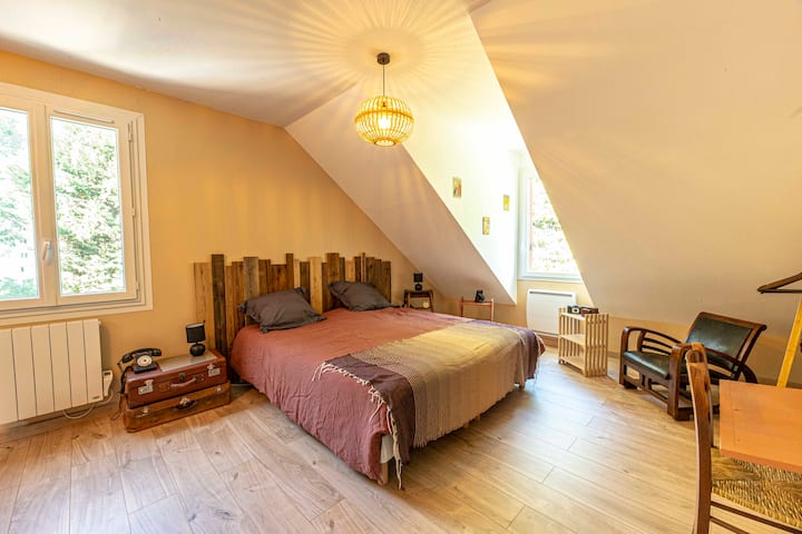 Au Chat Explorateur - Nemours