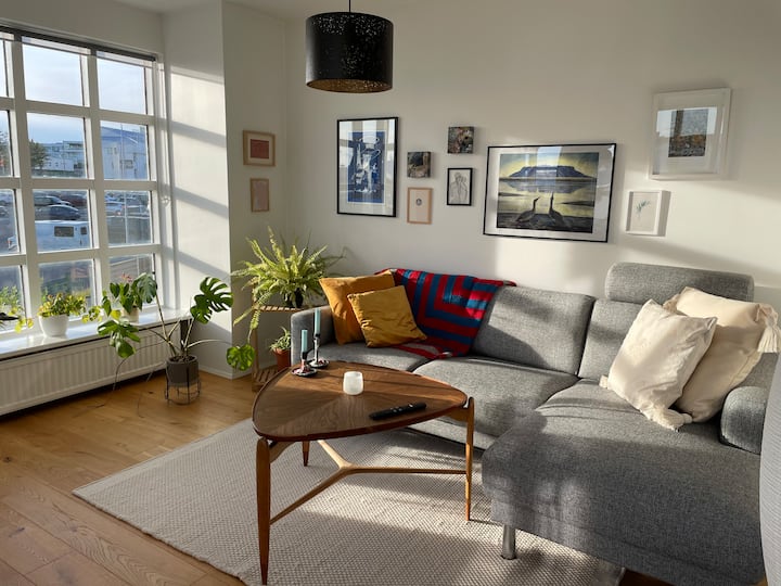 Lovely 1 Bedroom Condo With Free Parking - Reykjavik