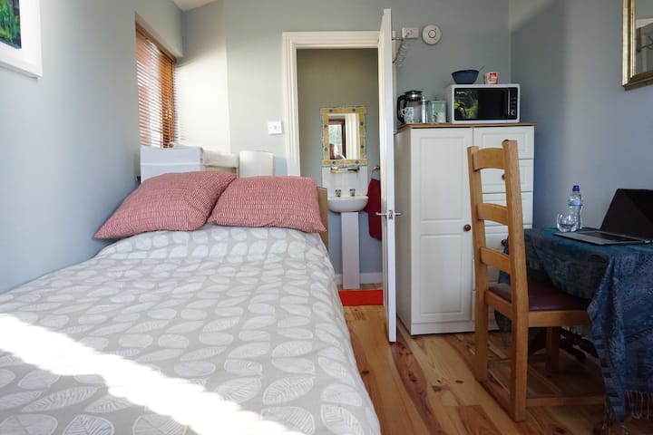 Attractive Ground Floor Single Room With En-suite. - Dublin