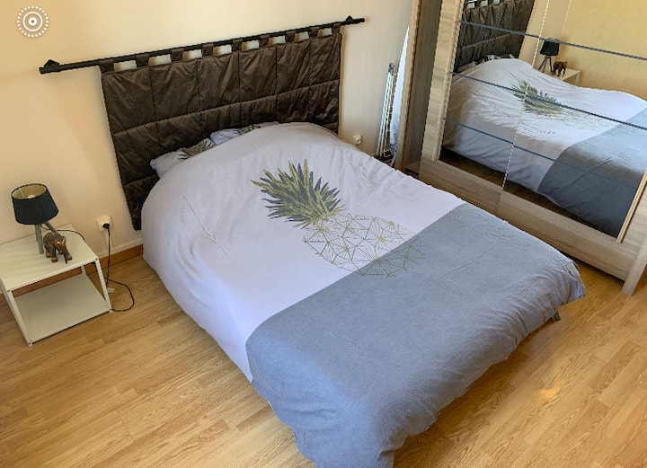 T2 Moulin à Vent - Lyon