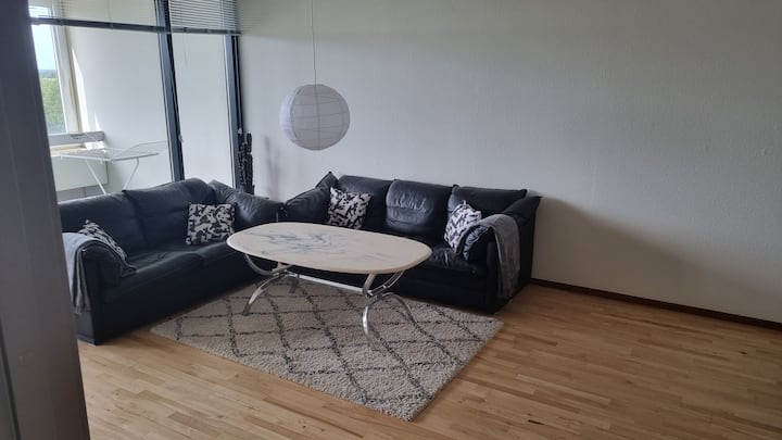 Dejlig Lejlighed, Med Flot Udsigt. - Odense