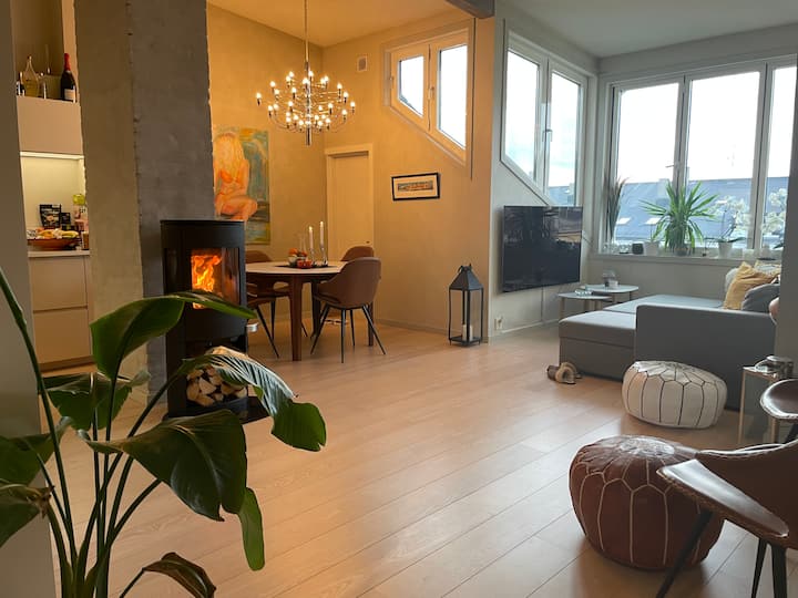Exclusive, Cozy, Elegant Frogner Apartment In The Center Of Oslo - Oslo