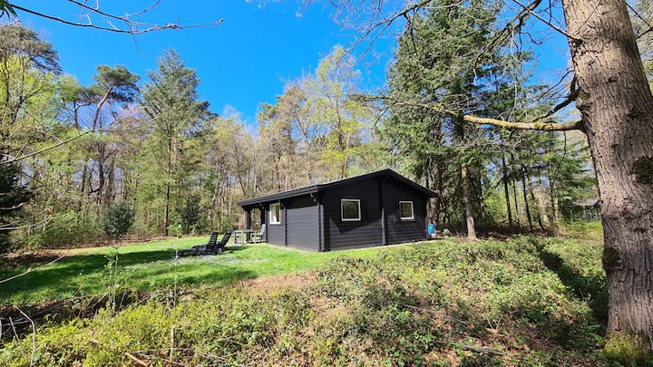 Gezellige Finse Bungalow In Het Bos Met Privacy. - Lichtenvoorde