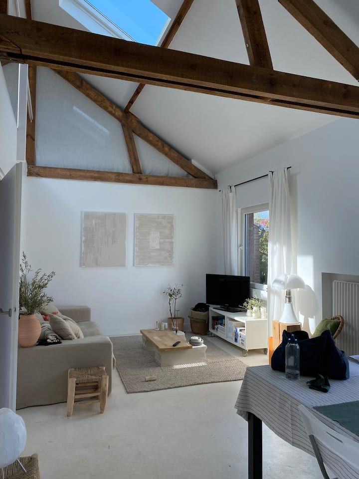 Chambre Au Calme - Roubaix