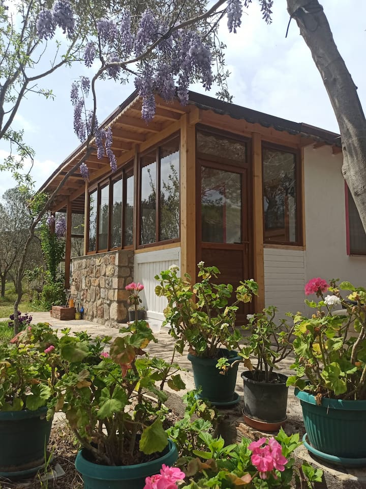 Tetik Bağ Evinde Misafir Evi 3 Kişilik Yatak - Bozcaada