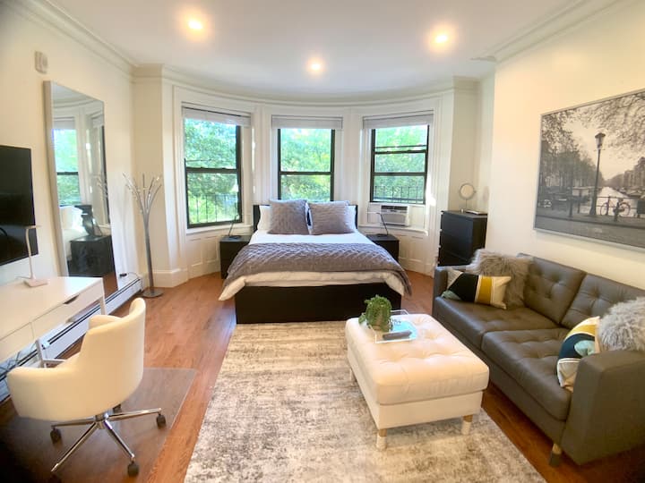 Gorgeous Audubon Circle Studios (3) - Boston, MA