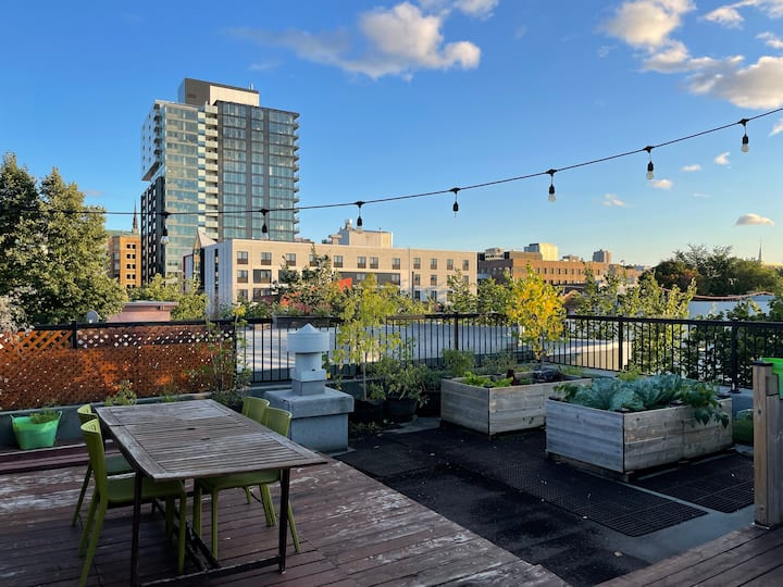 Superbe Condo Avec Immense Terrasse - Laval University