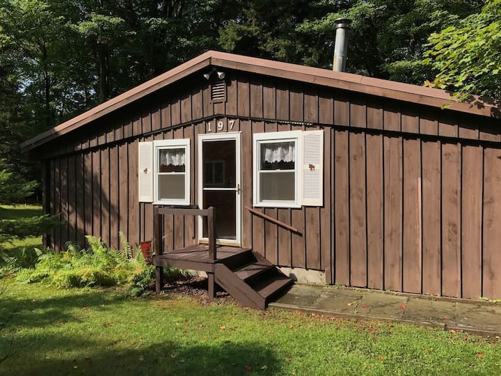 Rustic Cozy Adirondack Cabin On Mccauley Mountain - Old Forge, NY