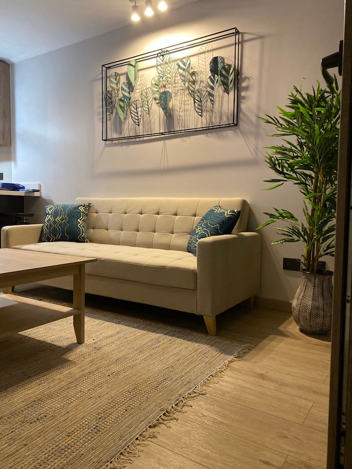 Centro Pucón, Nuevo, Seguro, Acogedor, Estac Wifi - Pucón