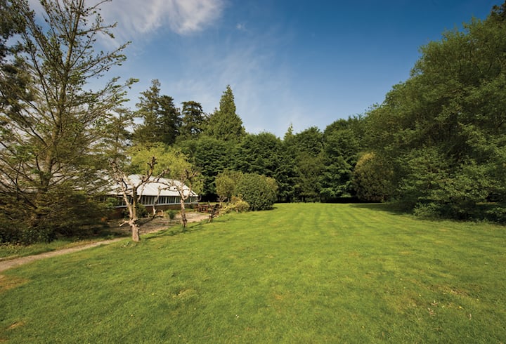 Amazing New Forest Location, Direct Forest Access - Brockenhurst