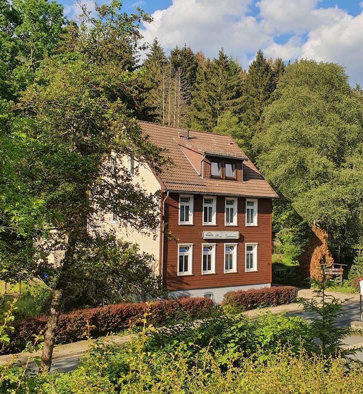 Gemütliches Studio In Altenau - Bad Harzburg