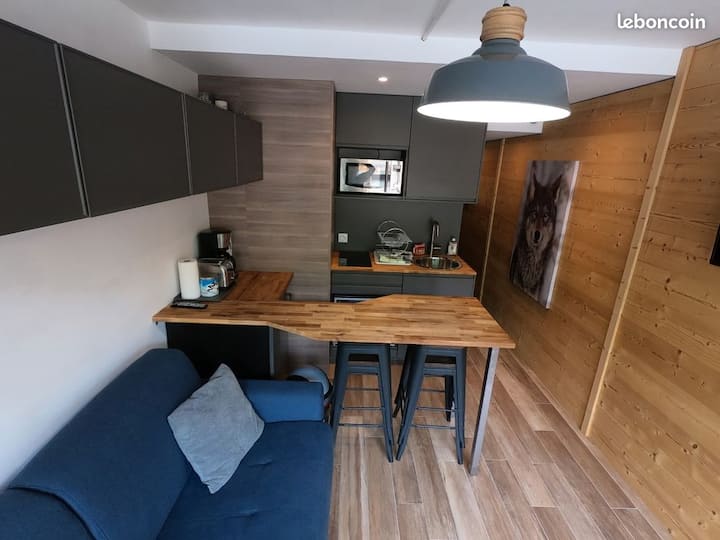 Appartement T1 Bis Centre Station - Les Deux Alpes