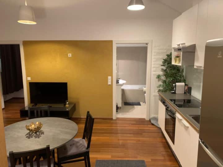 Zentrale Wohnung In Wien Nähe Neubaugasse - Viena