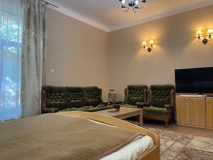 Apartment Close To City Center And Free Parking - Timișoara