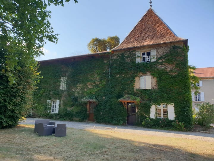 Appartement Dans Propriété Du 18ème Siècle - Beaurepaire