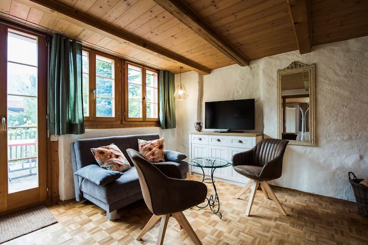 Studio Swiss Chalet - Brienz