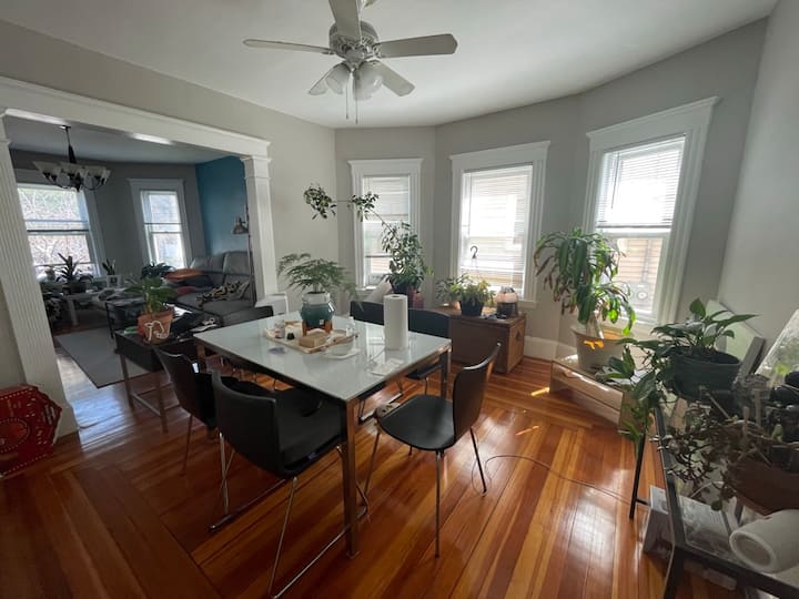 Green Oasis In The City - Lovely 2 Bedroom Condo - Somerville, MA