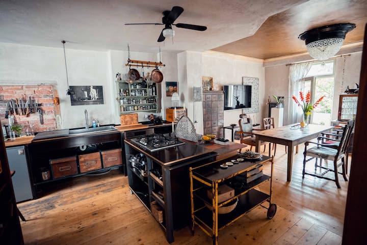 Charmantes Künstlerappartement - Dresden