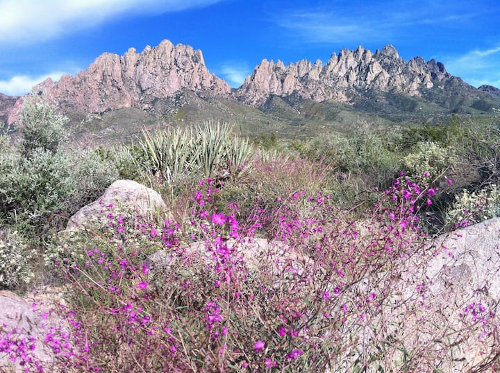 La Ventana De Mesilla - Las Cruces, NM