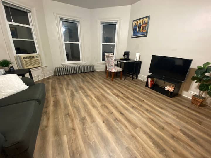 Downtown 1 Bed 1 Bath Updated Apartment - Battle Creek, MI