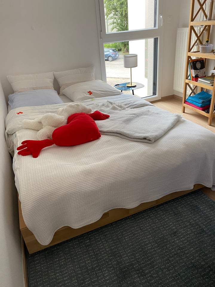 Agréable Chambre Avec Parking Gratuit. - Strasbourg