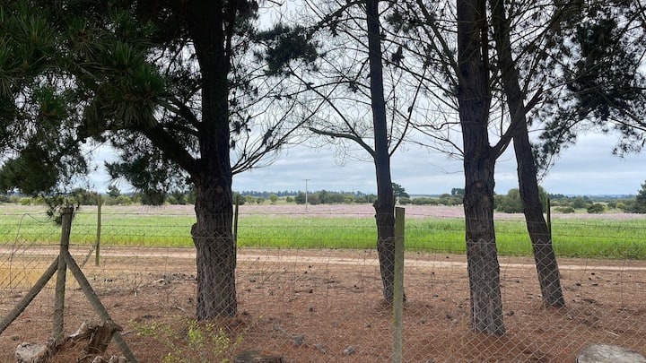 Las Brisas De Santo Domingo Sector I - Santo Domingo, Chile