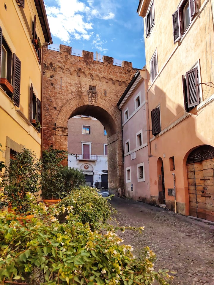 Palline Apartment - A Due Passi Da San Pietro - 로마