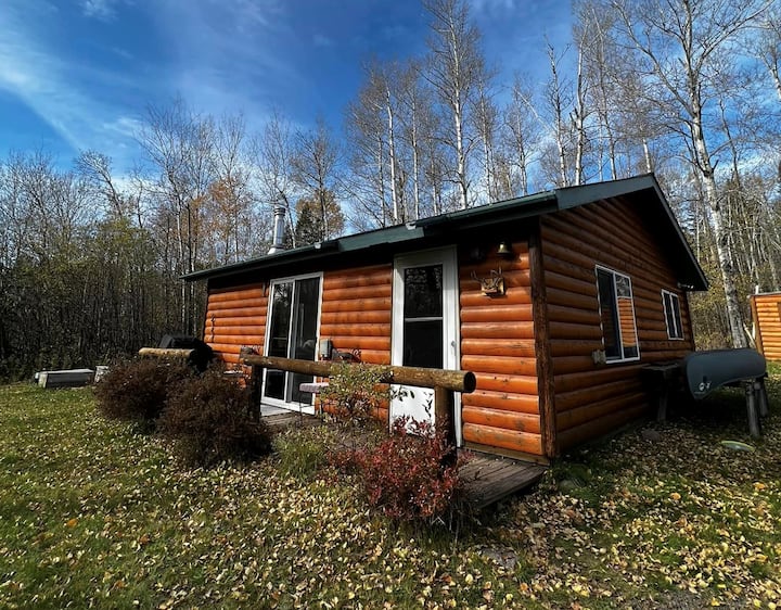 Woods Walk Cabin - Temperance River State Park, Schroeder
