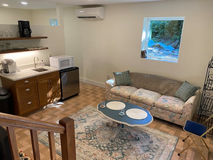 Adorable Newly Renovated In-town Oasis! - Asheville, NC