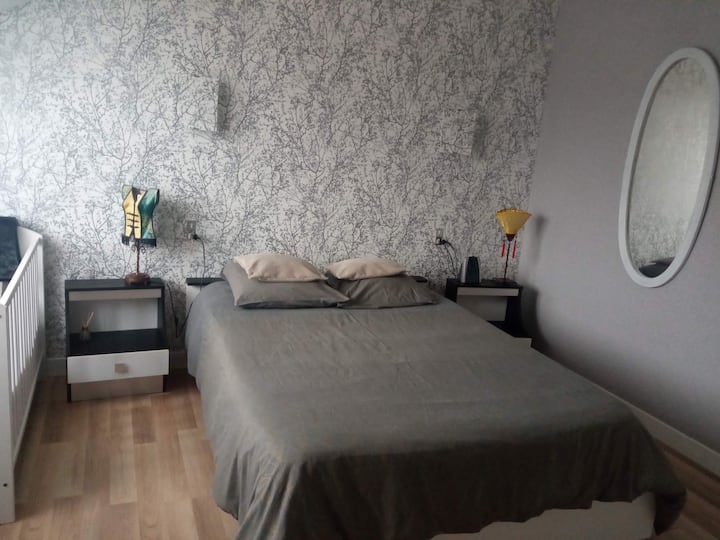 Location Proche Parc Zoo Beauval, St Aignan - Selles-sur-Cher