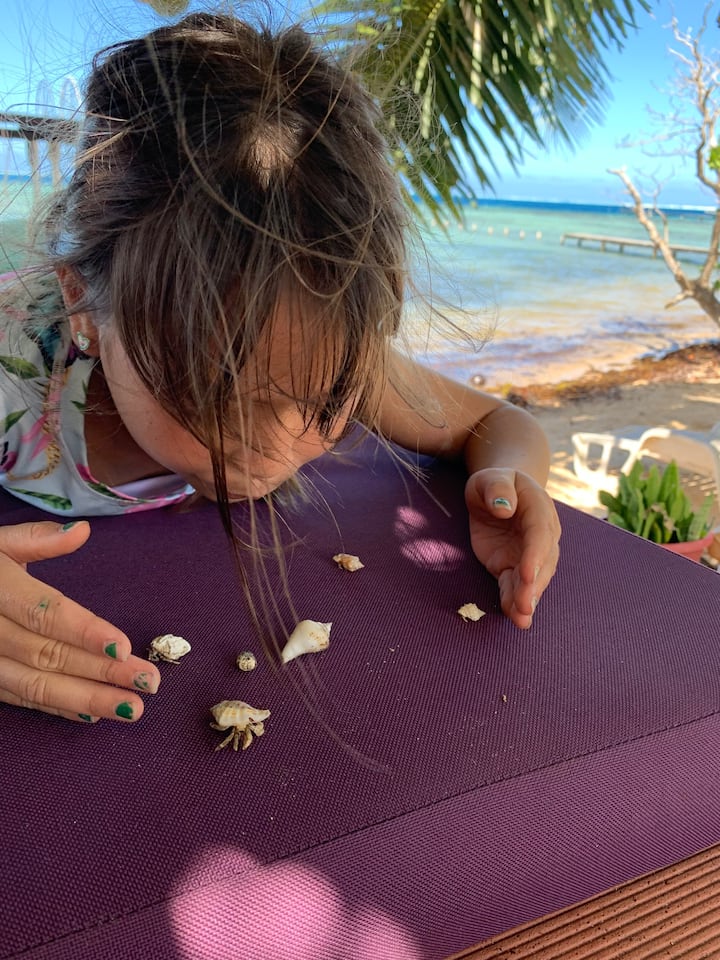 Bungalow Confortable Et Chaleureux Avec Piscine - French Polynesia