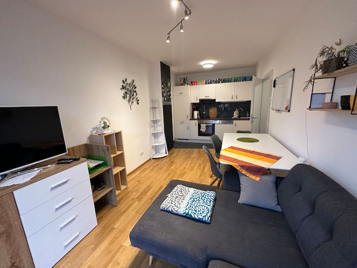 Charming 2-bedroom Apartment With Balcony - Graz