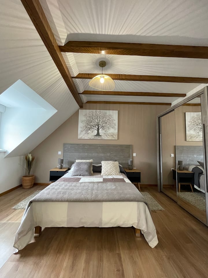 Appartement Strasbourg - Strasbourg
