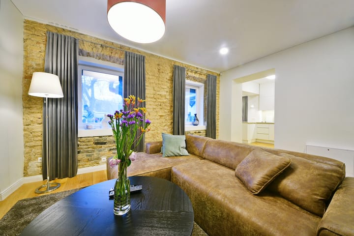 Domillion Old Town Duplex 14ppl Free Parking L4d - Vilnius