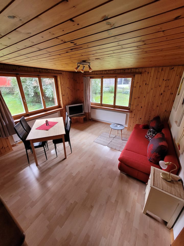 Ruhiges Wohnen Zentral Gelegen Für Div Wintersport - Pany