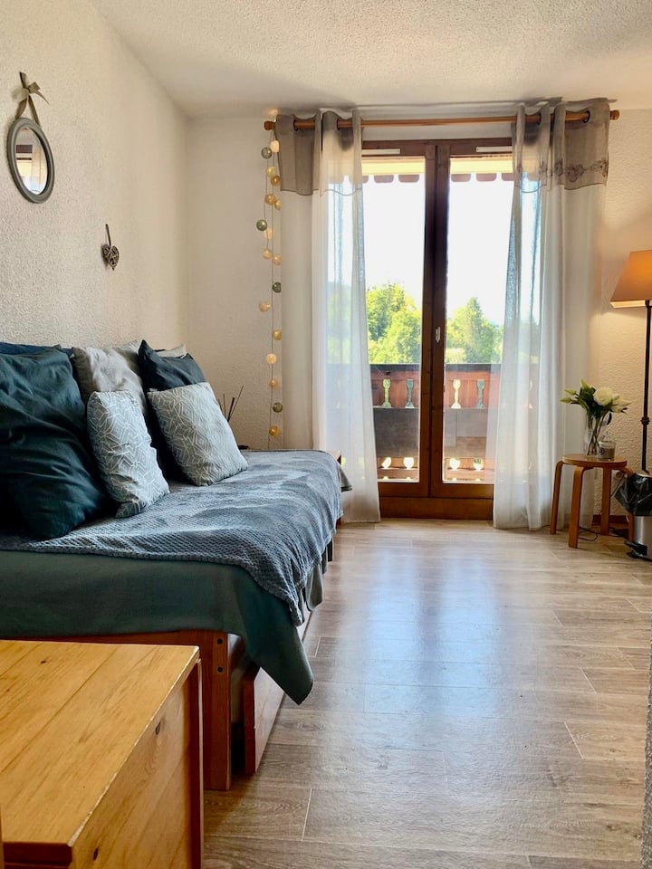 Studio Les Carroz - Flaine