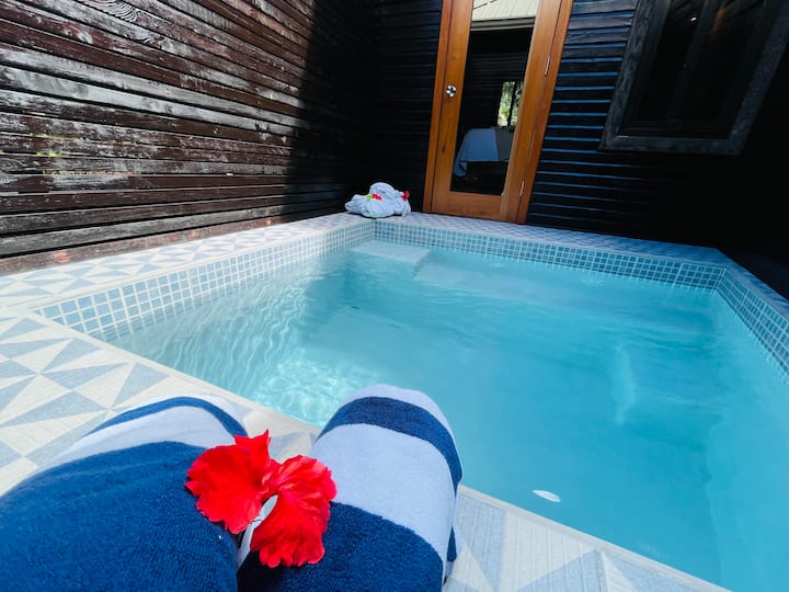 Pbc/crocodile/with Ensuite Private Mini Pool - Belize