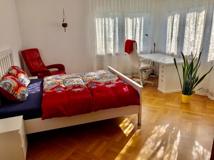 Sehr Helles Privatzimmer Im Dreiländereck (F/ch/d) - Basilea