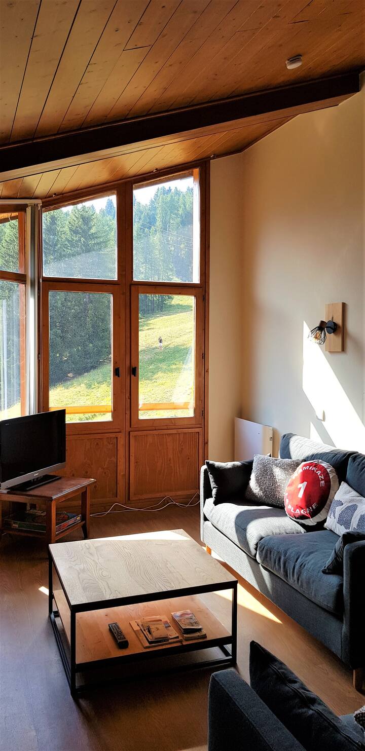 Appartement T3 Au Pied Des Pistes - Montchavin